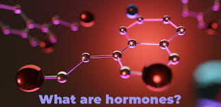 what are hormones ? Endocrine glands make hormones, which t