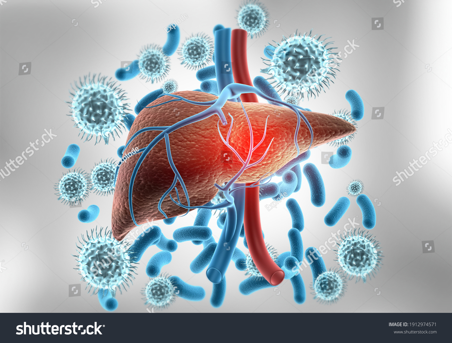 “Hepatitis can’t wait” -WHO commemorates World Hepatitis Day